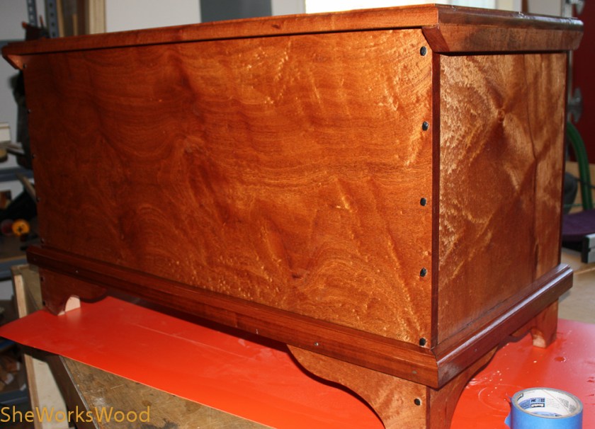 Six board chest glamour shots